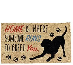 DESIGN IMPORTS Dog Home Natural Coir Doormat With Nonslip Back - One-color