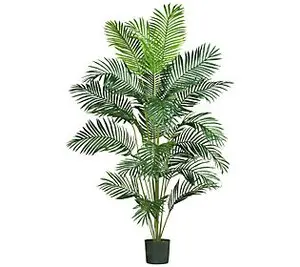 NEARLY NATURAL 7' Paradise Palm Silk Tree By - One-color