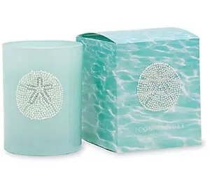 PRIMAL ELEMENTS Sand Dollar Icon Candle - One-color