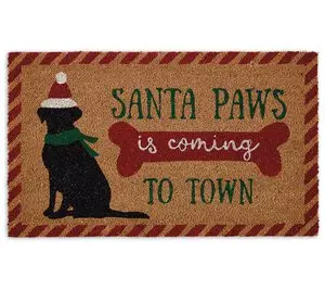 DESIGN IMPORTS Santa Paws Doormat - One-color