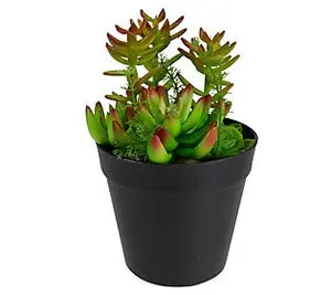 NORTHLIGHT 8' Artificial Mixed Succulent Plant Rrangement - One-color
