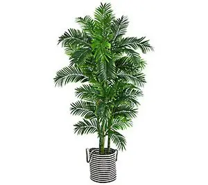 NEARLY NATURAL 6' Curvy Parlor Palm Tree In Planter Nearly Atural - One-color
