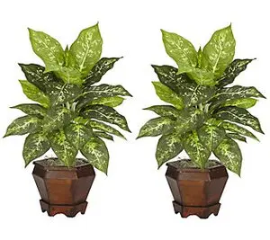 NEARLY NATURAL Dieffenbachia W/wood Vase Silk Plant Varieagated - One-color