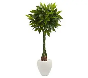 NEARLY NATURAL 5' Money Artificial Tree In Oval Planter - One-color