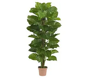 NEARLY NATURAL 63' Large-leaf Philodendron Silk Plant Nearl Y Natural - One-color