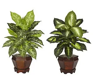 NEARLY NATURAL Dieffenbachia W/wood Vase Silk Plant Assorted - One-color
