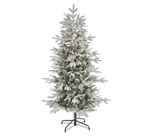 NEARLY NATURAL 5.5'flocked Manchester Spruce Tr E W/200 Led - One-color