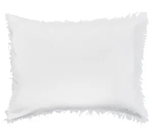 C&F HOME Goodwin Standard Sham - One-color