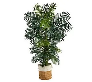NEARLY NATURAL 6.5' Golden Cane Artificial Palm Tree/planter - One-color
