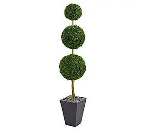 NEARLY NATURAL 6' Boxwood Triple Topiary Tree I N Planter I/o - One-color