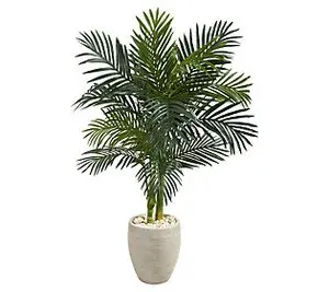 NEARLY NATURAL 4.5' Golden Cane Palm Tree In Ov Al Planter - One-color