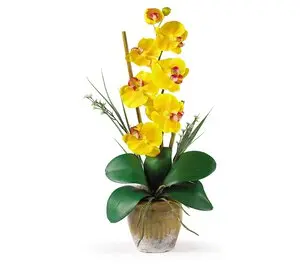 NEARLY NATURAL Single Stem Phalaenopsis Silk Ar Rangement - One-color