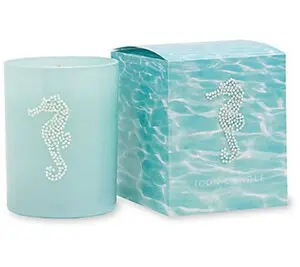 PRIMAL ELEMENTS Seahorse Icon Candle - One-color