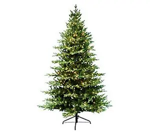 PULEO INTERNATIONAL 7.5' Prelit Balsam Fir Christmas Tree 800 Clearlights - One-color