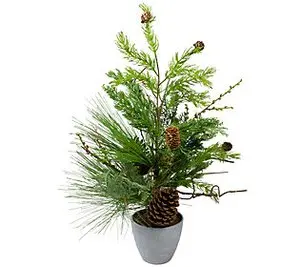 NORTHLIGHT 2' Potted Mixed Pine Cedar And Twig Ree Unlit - One-color