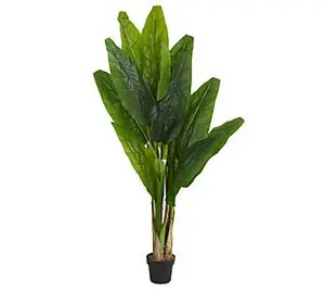 NEARLY NATURAL 6' Triple Stalk Banana Artificial Tree Nearl Y Natural - One-color