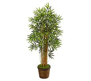 NEARLY NATURAL 4.5' Bamboo Tree In Coiled Rope Lanter - One-color
