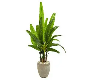 NEARLY NATURAL 64in. Travelers Palm Artificial Tree In Sand C Olored Planter - One-color