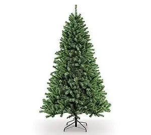 PULEO INTERNATIONAL Puleo 6.5' Northern Fir Artificial Christmas Tr Ee With Stand - One-color