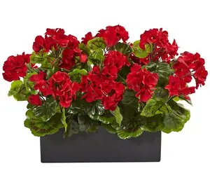 NEARLY NATURAL Geranium In Rectangular Planter Uv Resistant - One-color