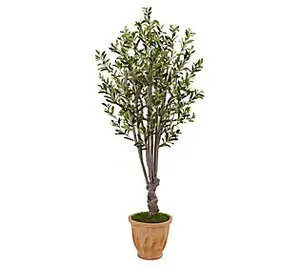 NEARLY NATURAL 5' Olive Tree In Terra-cotta Planter Nearly Atural - One-color