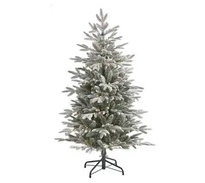 NEARLY NATURAL 4.5' Flocked Manchester Spruce W 100 Clear Led - One-color