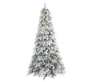 NEARLY NATURAL 8' Flocked Christmas Tree W/ 600 Leds - One-color