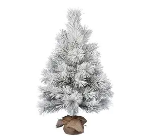 VICKERMAN 36' Frosted Beckett Pine Tree - One-color