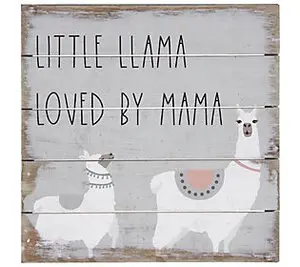 SINCERE SURROUNDINGS Little Llama Pallet Petite Sincere Surroundi Ngs - One-color