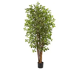 NEARLY NATURAL 6' Black Olive Silk Tree By