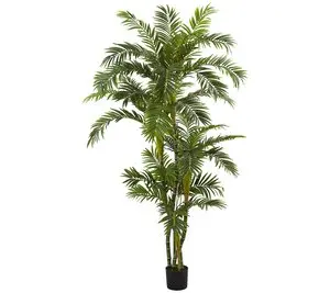 NEARLY NATURAL 6' Curvy Parlor Palm Silk Tree Nearly Natura L - One-color