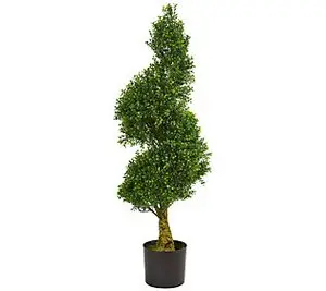 NEARLY NATURAL 4' Spiral Boxwood Artificial Tree Nearly Nat Ural - One-color