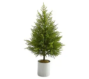 NEARLY NATURAL 49' Norfolk Island Pine Natural Ook Tree - One-color