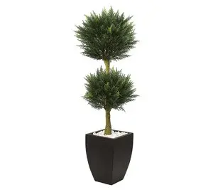 NEARLY NATURAL 4.5' Cypress Topiary With Planter Nearly Nat Ural - One-color