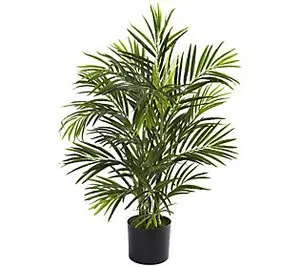 NEARLY NATURAL 2'6' Areca Palm By - One-color