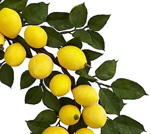 NEARLY NATURAL 24' Lemon Wreath By