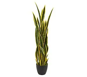 NEARLY NATURAL 4' Sansevieria Artificial Plant By - One-color