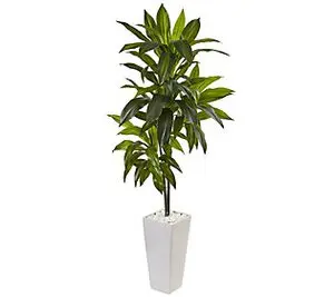 NEARLY NATURAL 3' Dracaena Plant In Tower Planter Nearly N Atural - One-color