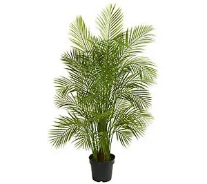 NEARLY NATURAL 5.5' Areca Palm Artificial Tree By - One-color