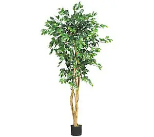 NEARLY NATURAL 5' Ficus Tree By - One-color
