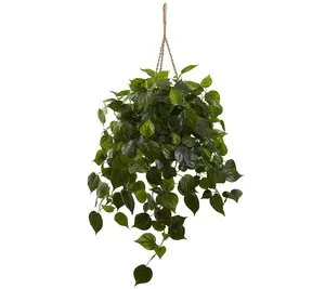 NEARLY NATURAL Philodendron Hanging Basket By - One-color