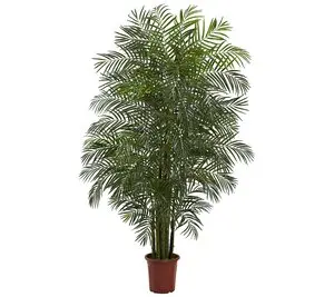 NEARLY NATURAL 7.5' Areca Palm By - One-color