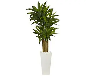 NEARLY NATURAL 5' Cornstalk Dracaena Plant In Planter Nearl Y Natural - One-color