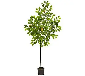 NEARLY NATURAL 61' Lemon Artificial Tree By - One-color