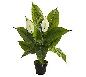 NEARLY NATURAL Spathiphyllum Plant Nearly Natu Ral - One-color