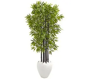 NEARLY NATURAL 5' Bamboo Tree In White Planter By - One-color