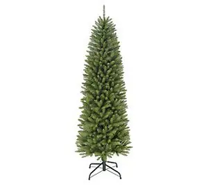 PULEO INTERNATIONAL Puleo 5' Pencil Fraser Fir Artificial Christmas Tree W/stand - One-color