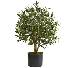 NEARLY NATURAL 29' Olive Artificial Tree By - One-color