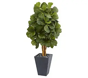 NEARLY NATURAL 5.5' Fiddle Leaf Tree In Slate Planter Nearl Y Natural - One-color