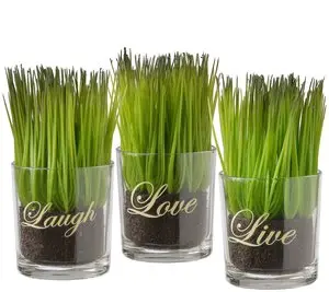 NATIONAL TREE COMPANY 3-piece Sprout-filled Gla Ss Assortment - One-color